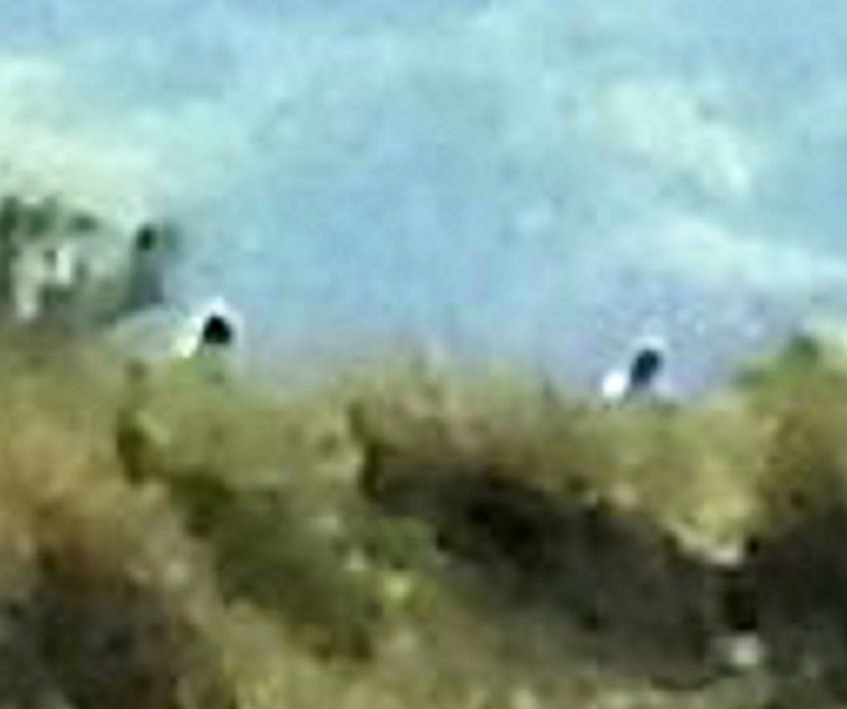 My Dawlish Warren, Devon UK UFO and Alien Encounter by John Mooner 02 ...